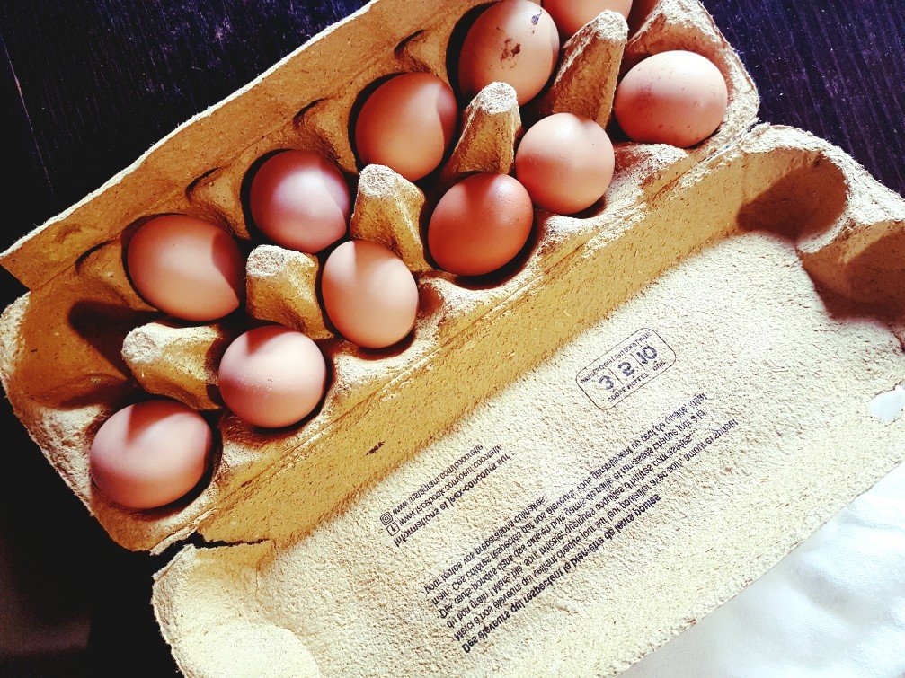 Twelve feathered chooks – A French Creative Life